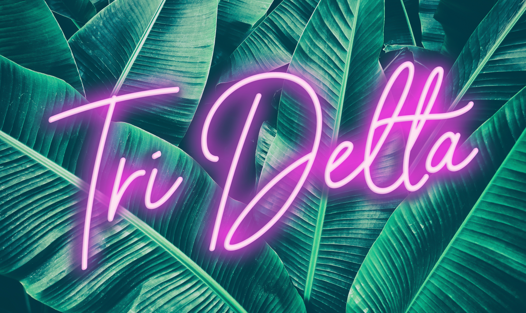 Sorority Flags | Sorority Custom Flags | Sorority Shop – Tagged "Neon ...